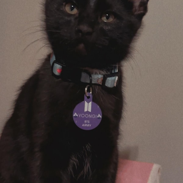 Lucky Charms Personalized Pet Tag, Cute Cereal Pet ID Tag, Custom QR ...
