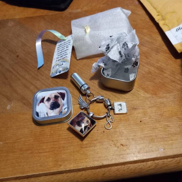 Pet Memorial Key Ring Pet Memorial Keychain With Custom Photo and ...