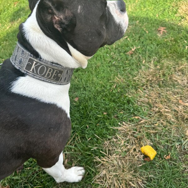 Leather Dog Collar, Personalized Name Plate, Bucket Studded Leather Dog ...