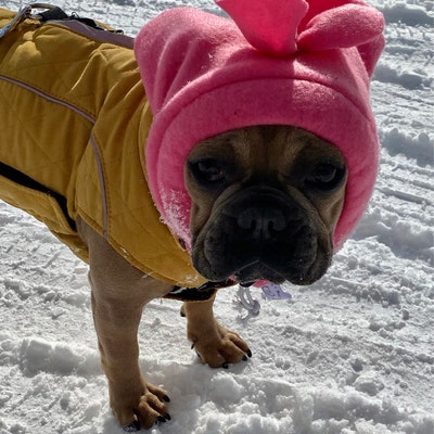 Pet Neck Scarf Dog Neck Warmer Puppy Scarf Winter Dog Scarf - Etsy