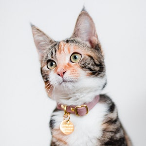 Luxury Cat ID Tag in Solid Brass Personalised Engraving Both Sides ...