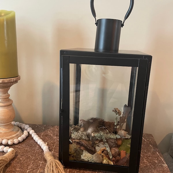 Lg Forest Findings Collection, Dried Botanicals, Forest Decor ...