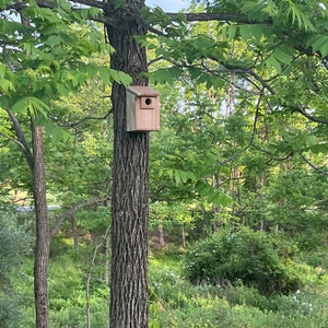 4 Scorched Cedar Bluebird Bird House Nesting Boxes Easy to Open and ...