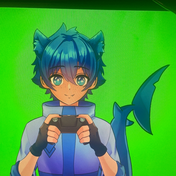 Custom PNG Tuber Avatar: Animated Vtuber Streamer (veadomini File) - Etsy