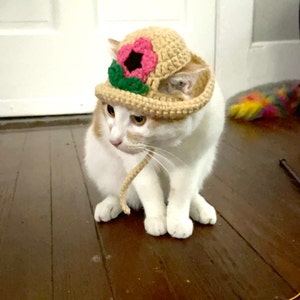 Pink Flower Summer Hat Cat Hats Cat Costumes Cat Accessories Cat ...