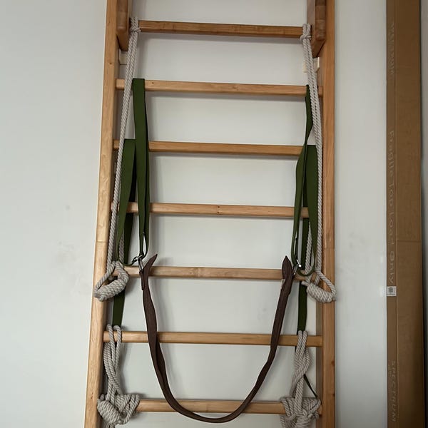 Wooden Swedish Ladder With Yoga Rope Set for Home and Gym. Premium ...