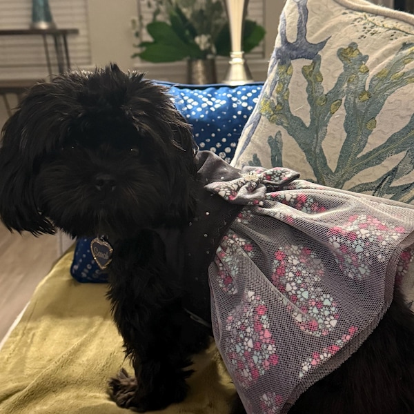 Minnie Mouse Tutu Dress- Disney Pet Singlet, Pet Clothing, Disney Pet ...