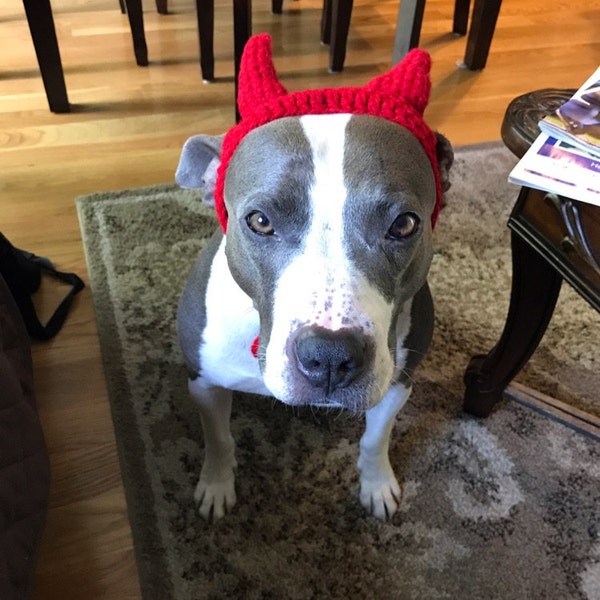Devil Dog Costume, Devil Horns for Large Breed Dogs, Red Devil Dog Hat ...