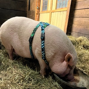Flannel Mini Pig Harness You Choose Fabric - Etsy