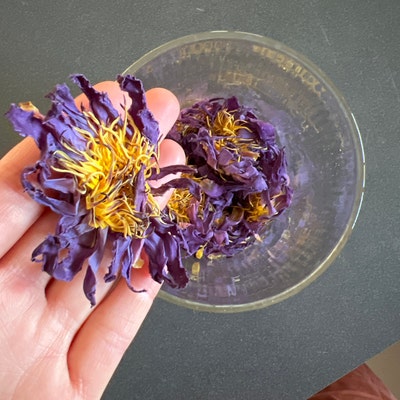 1000g Premium Organic Dried Blue Lotus Flowers Blue Tea Herbal Tea ...