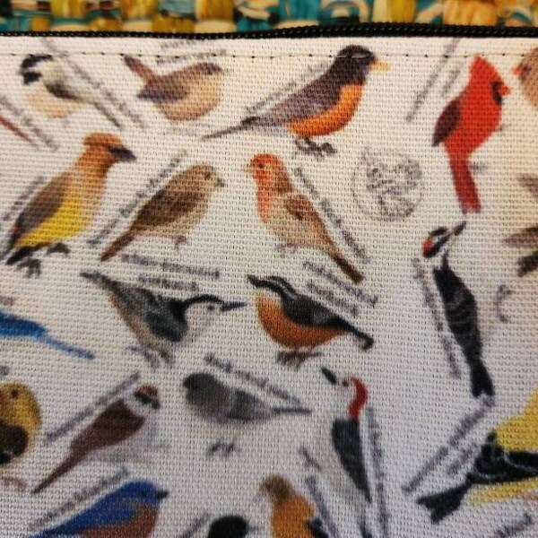 North American Backyard Birds Digital Print - 15" Square Bird ...