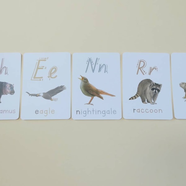 Animal ABC + 123 Flash Cards - Animal ABC Cards - Animal Alphabet Cards ...