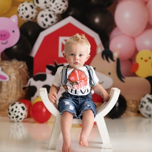 Farm Animal Birthday Outfit Boys Farmer Birthday Shirt Baby Boys 1st ...