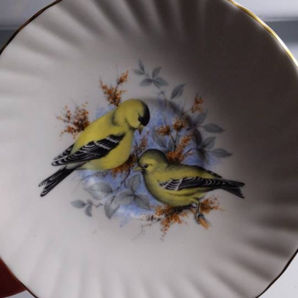 Broken Completely Mismatched Tea Cups and Saucers Vintage Tea Cups ...