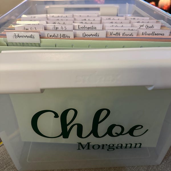 Baby Milestone File, INSTANT DOWNLOAD, Digital Cut File, Monthly ...