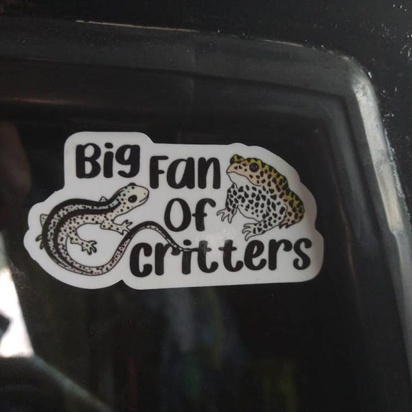 Feminism and Activism Space Filler Waterproof Stickers | Small Stickers ...