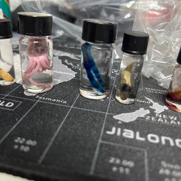 Mystery Oddity WET SPECIMEN Surprise Box - Animal Kingdom - Etsy