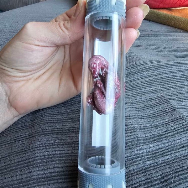 Alien Xenomorph/facehugger/chestburster Weyland Vial Capsule Movie Prop ...