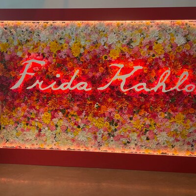 Aloha Fifty Shirt, 50th Birthday Shirt Women, Hello 50th Birthday ...