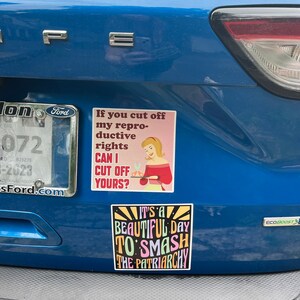 Magnetic Bumper Sticker Science is Real, Black Lives Matter, No Human ...