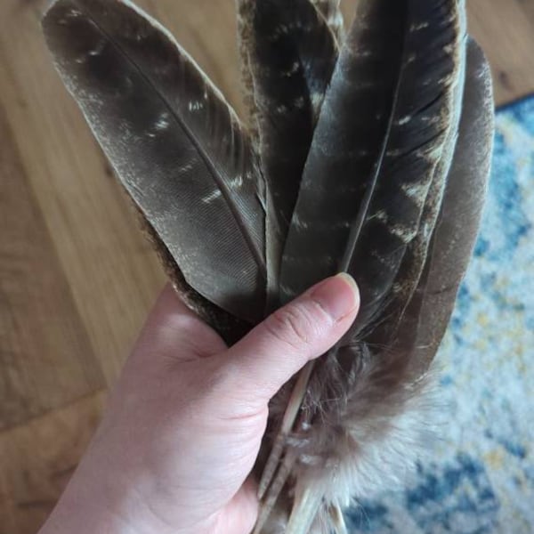 Natural Turkey Feathers, Smudging Feathers, Feathers for Smudging or ...