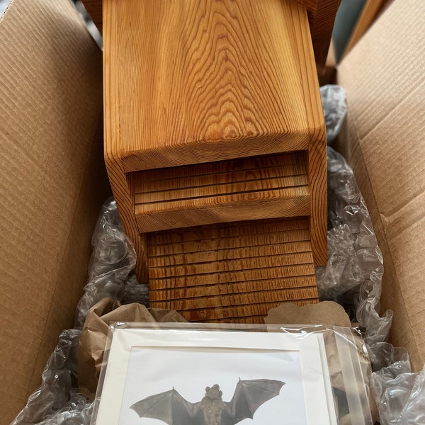 Eastern Phoebe Cedar Nest Box - Etsy