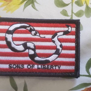 Praise the Sun Solaire Souls Flag A Sign of Jolly Cooperation From ...