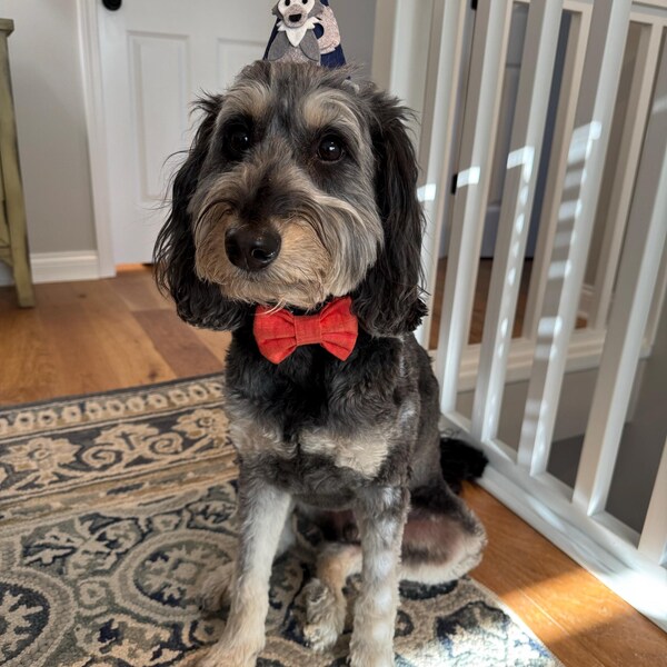 Tin Man Funnel Hat, Tin Man Costume, Tin Man Cosplay, Costume Accessory ...