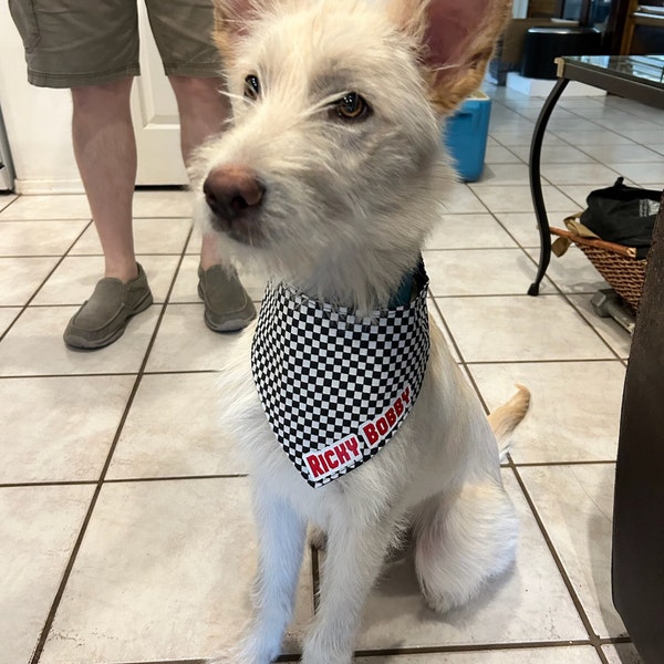 Adopt Me Reversible Snap-on Pet Bandana, Snap on Dog Bandanas, Cat ...