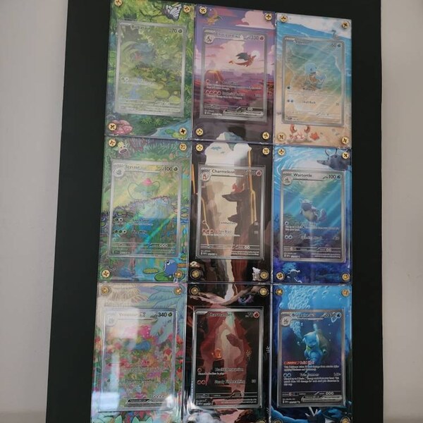 Charizard 151 Extended Artwork Graded Card Display Case リザードン SAR SV2a ...