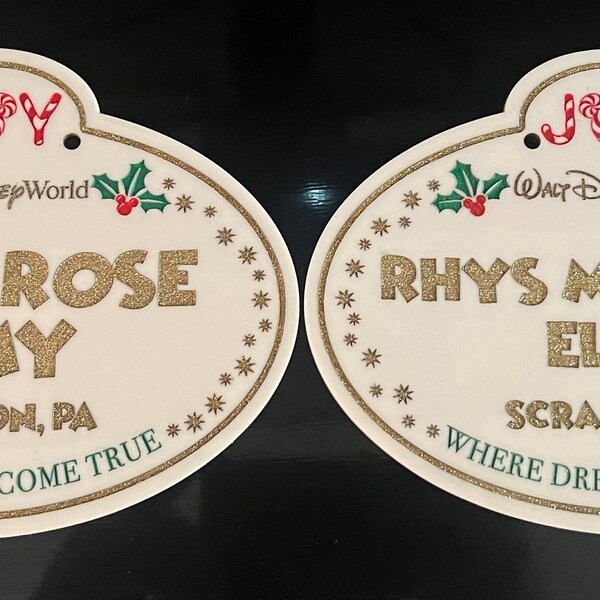 Walt Disney World Inspired Cast Member Name Stroller Sign Tag | WDW ...