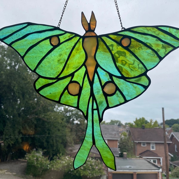 Luna Moth Stained Glass Template - Stained Glass Template - Luna Moth ...
