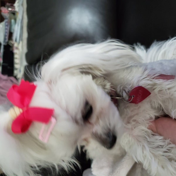 Small Dog Bows 50 Top Quality Grosgrain Ribbon Solid Colored Dog ...