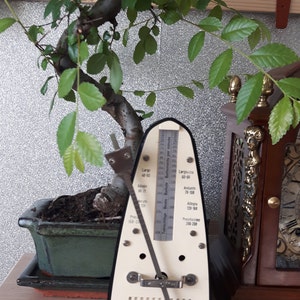 Antique Autophone Organette Cob Roller Organ Tune Sheet - Etsy