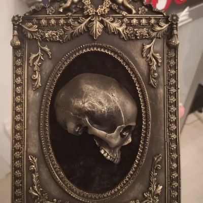 Human Skull Oddities and Curiosities Wall Decor - Etsy