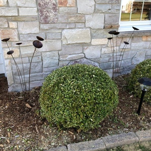 Mitten Tree/hat and Glove Drying Rack/gifts/entry/housewarming - Etsy