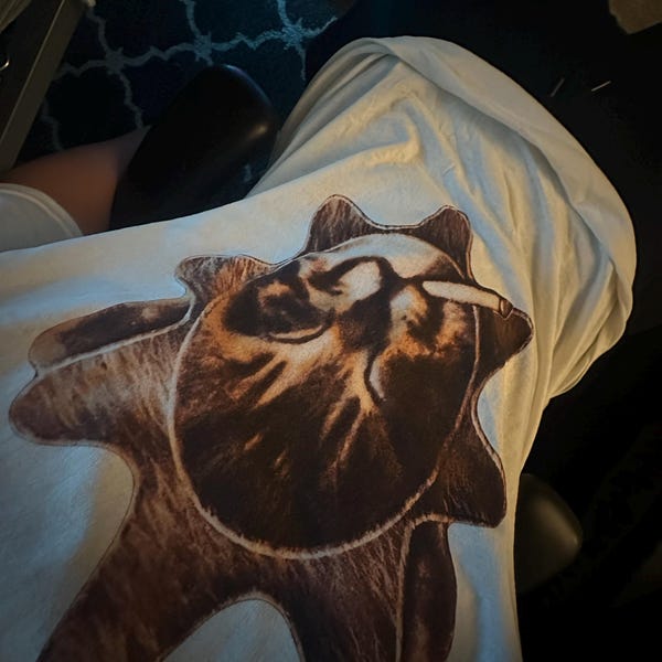 Che Sun Cat Kitten Tee Shirt - Rapper Che Sun Kitten Cat Merch Tshirt ...