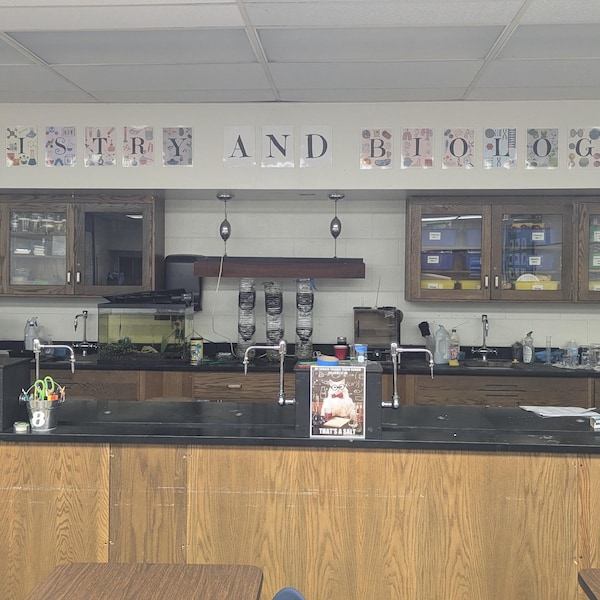 Biology Class Gallery Wall, Classroom Decor, High School Middle School ...