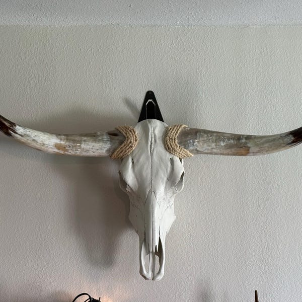 Cow Skull Wall Art 44-48" Wide - Real Home Decor - Gift for Her & Him ...