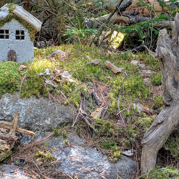 Hypertufa Fairy House, Pixie House, Fairy Village, Handmade Enchanted ...