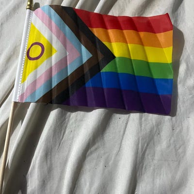 DIGITAL FILE: Printable Extended Pride Flag Reference Guide Includes ...