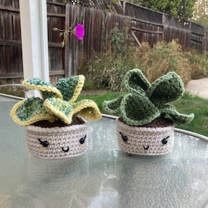 Dwarf Snake Plant Crochet Pattern - Etsy