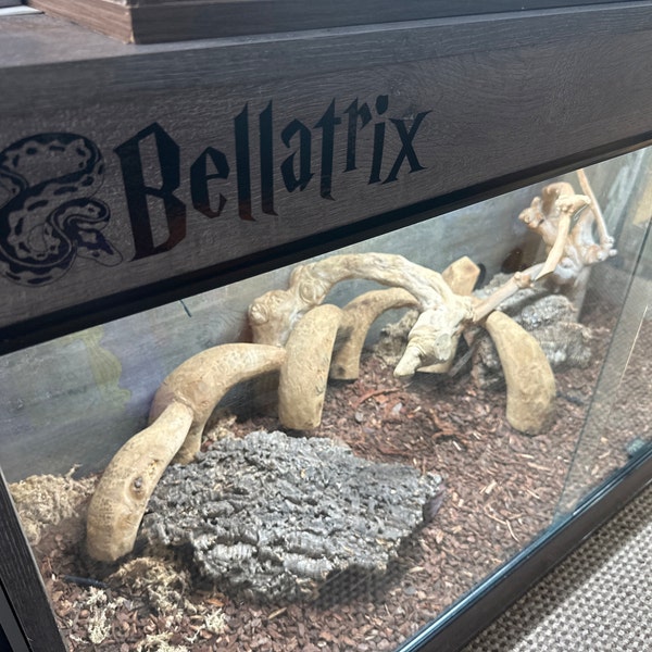 Ball Python Cut Files for Cricut and Silhouette .svg .png .jpg .dxf - Etsy