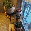 Monstera Stand, Metal Stand, Plant Shelf, Tiered Shelf, Plant Stand ...