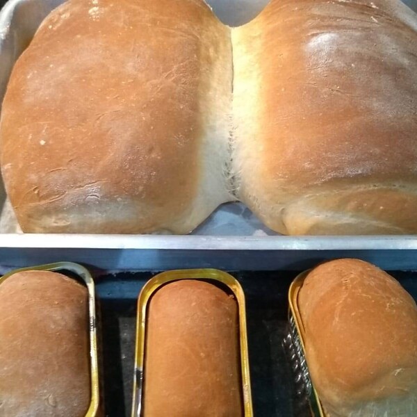 Magenta Navy and Gold Bouquets Floral Clip Art, Digital Instant ...