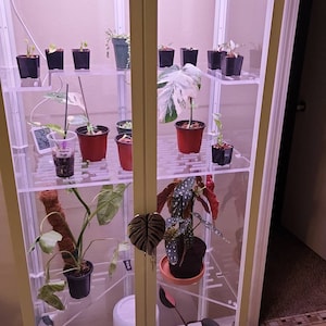 Acrylic Milsbo Tall Shelves 3/8 Thick - Etsy