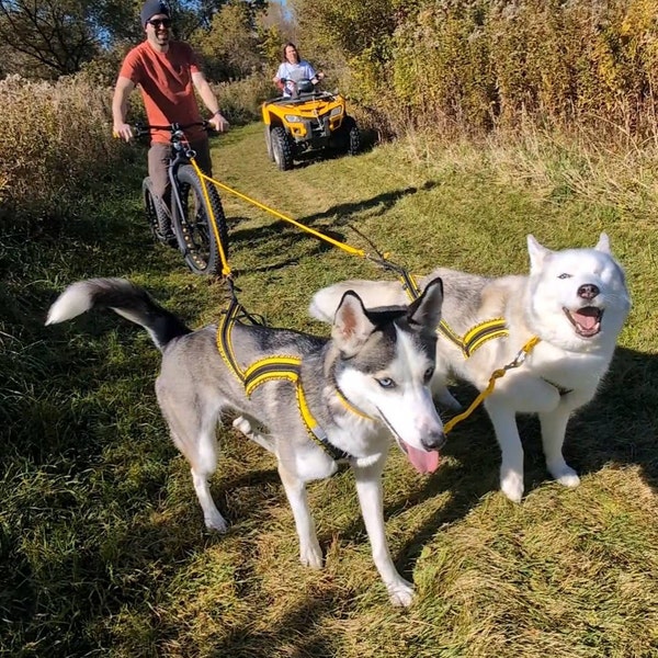 4 Dog Sled Line - Etsy