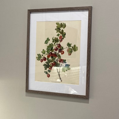 1885 Roxburghshire County Map. Cartography. Original Antique Victorian ...