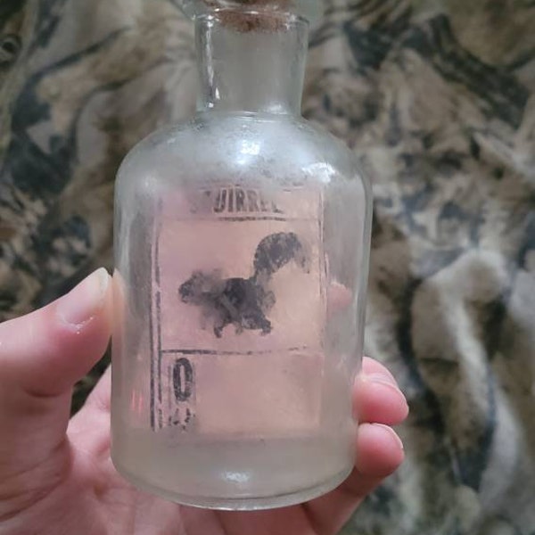 INSCRYPTION Necklace Card in a Bottle Squirrel Black Goat Boulder ...