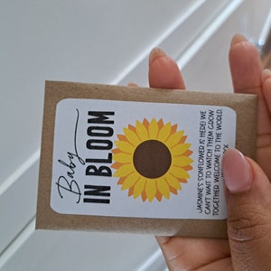 Lost Tooth Envelopes Set of 30 Teachers Classroom Lost Tooth School ...